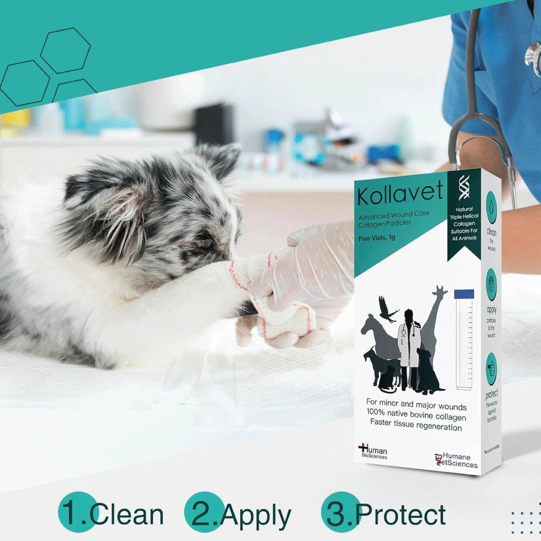Kollavet® Collagen Particles - Safe & Effective Animal Wound Care | 1 ...