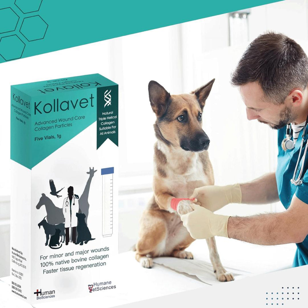 Kollavet® Collagen Particles - Safe & Effective Animal Wound Care | 1 ...